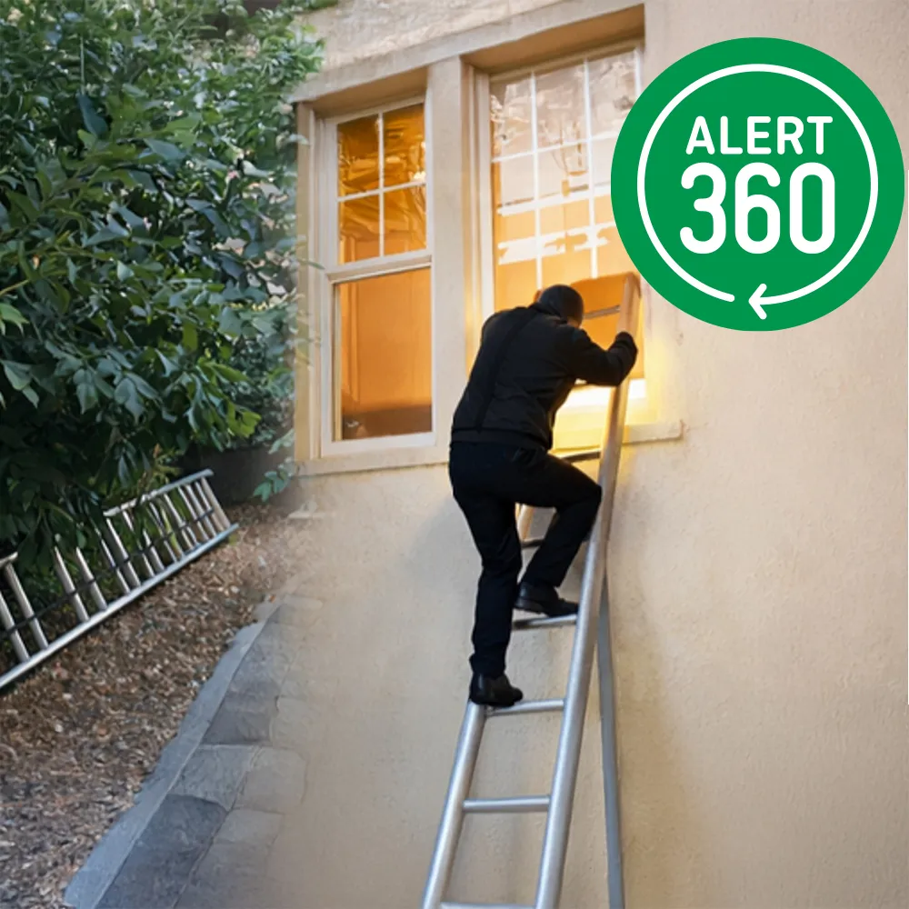 Is Your Backyard Inviting Burglars? Why Leaving a Ladder Outside is a ...